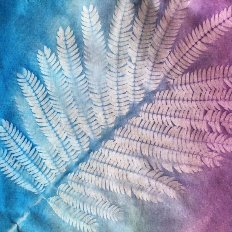 Sun Printing – Lisa Walton – Textile Artist