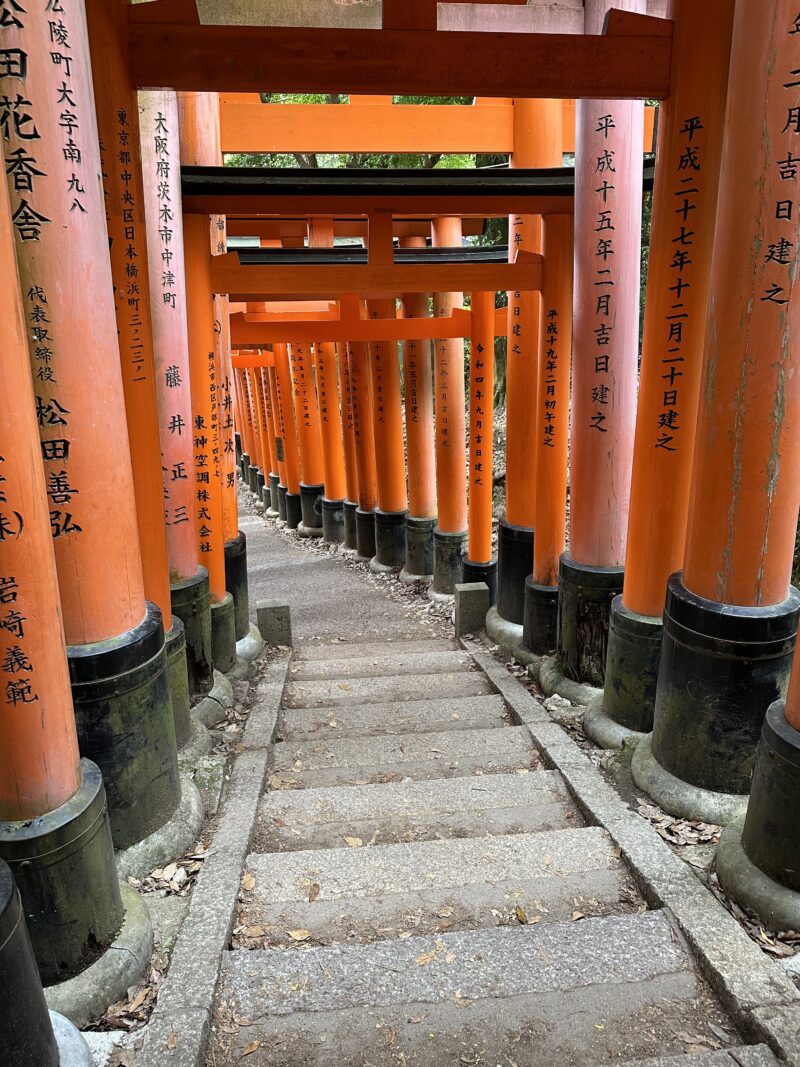 Tours with Lisa Walton – Lisa Walton – Textile Artist